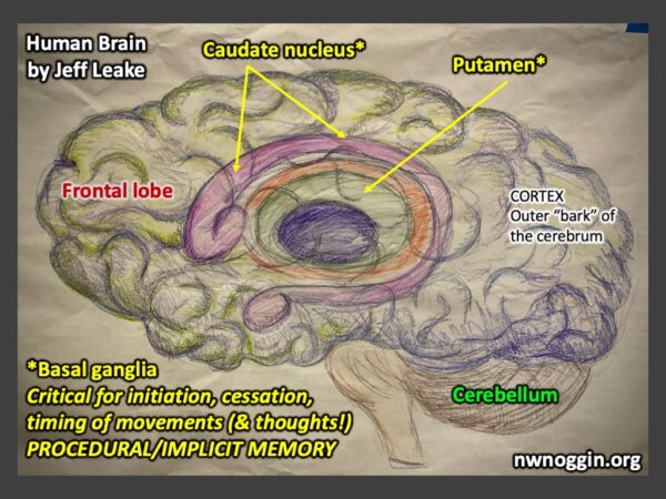 Déja Vu, Dreams, and Mechanisms of Memory – NW NOGGIN: Neuroscience ...