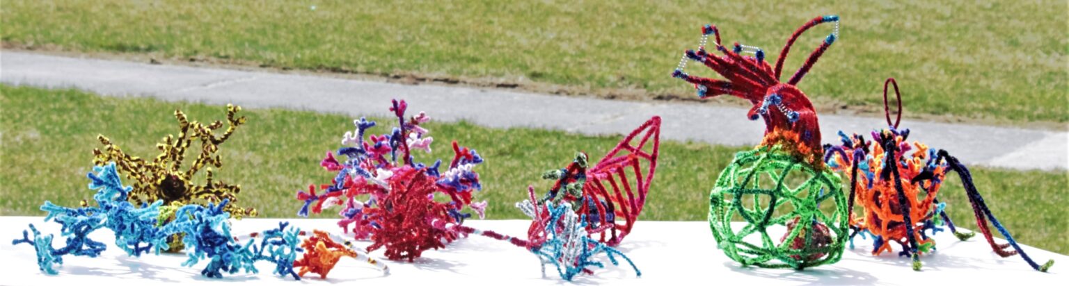 Pipe Cleaner Brain Cells! – NW NOGGIN: Neuroscience outreach group ...