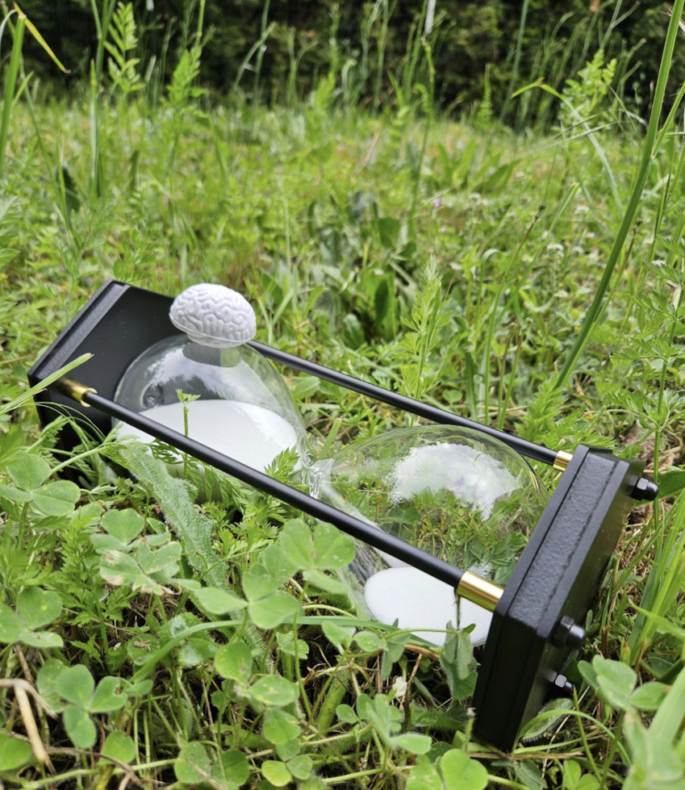 Déja Vu, Dreams, and Mechanisms of Memory – NW NOGGIN: Neuroscience ...