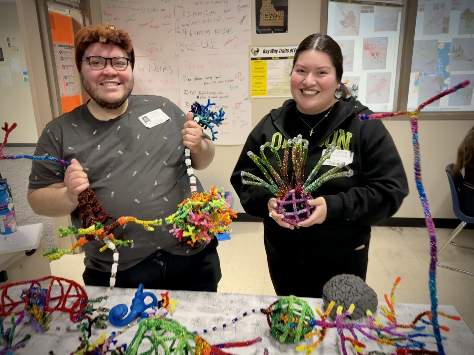 Why are our brains so wrinkly? – NW NOGGIN: Neuroscience outreach group ...