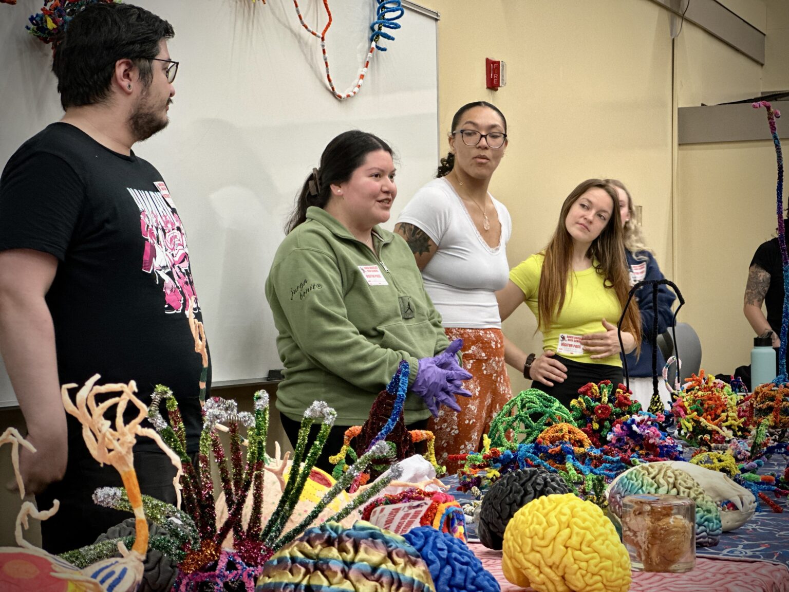 Why are our brains so wrinkly? – NW NOGGIN: Neuroscience outreach group ...